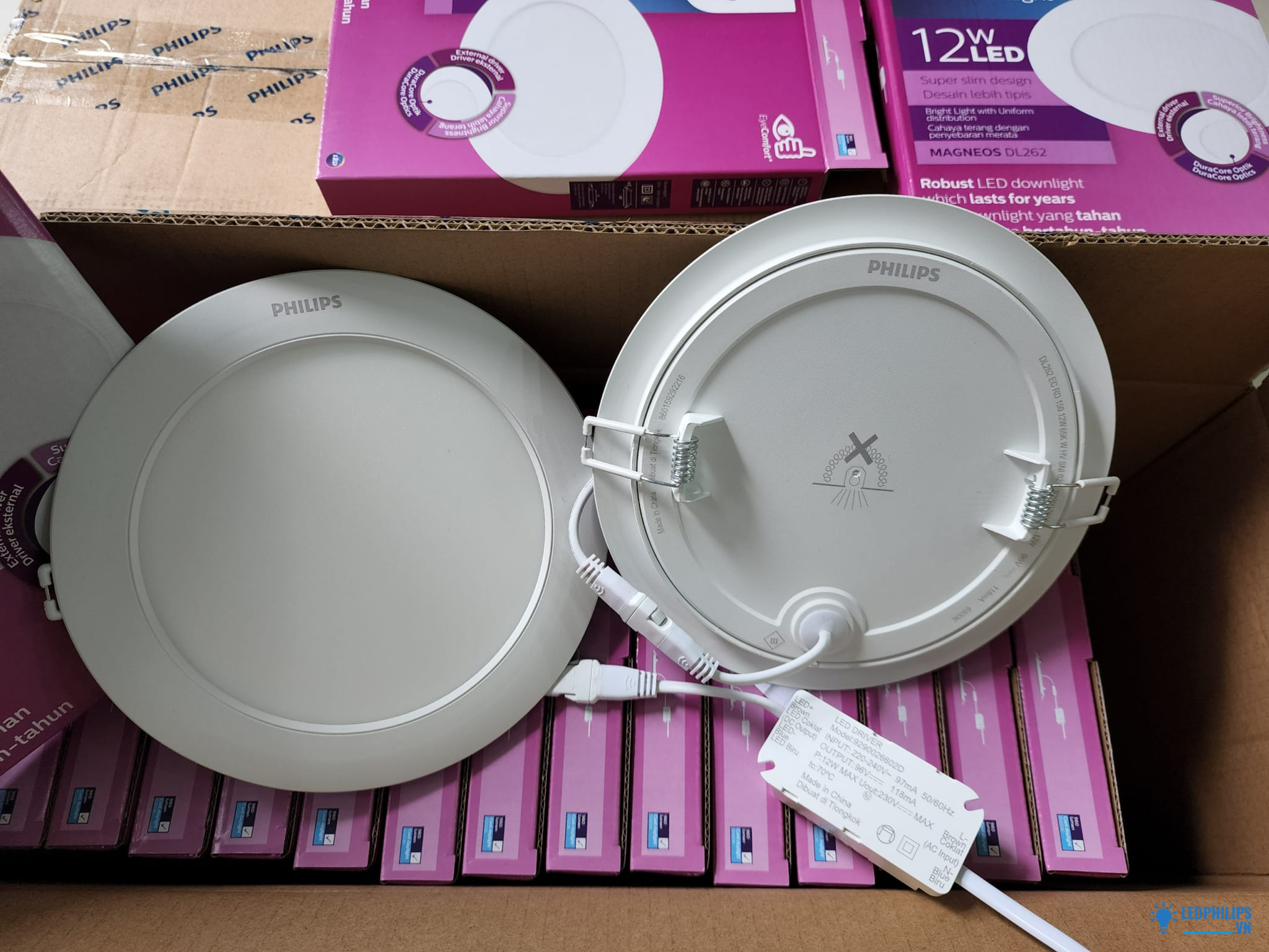 Downlight Led DL262 EC RD 150 12W 6500K - Led Philips