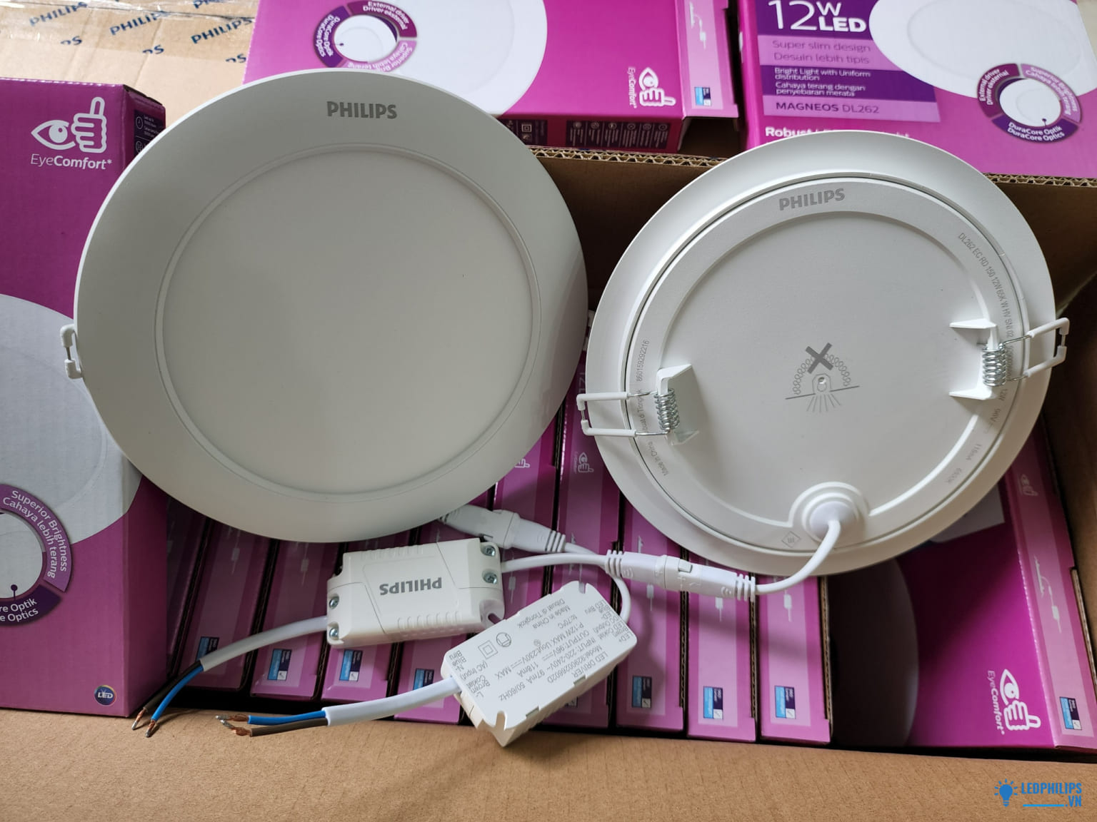 Downlight Led DL262 EC RD 150 12W 6500K - Led Philips